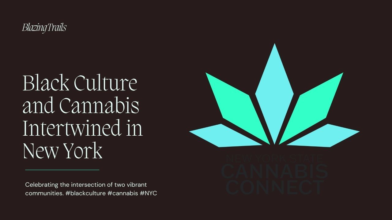 New York State Cannabis Connect